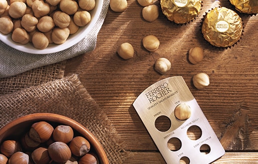 Site officiel de Ferrero Rocher - ferrerorocher.com