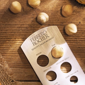 About Ferrero Rocher