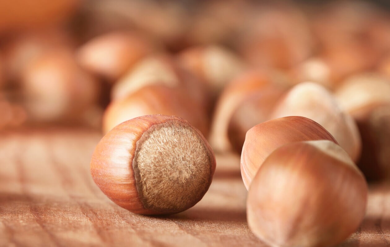 Presentask med 16 bitar